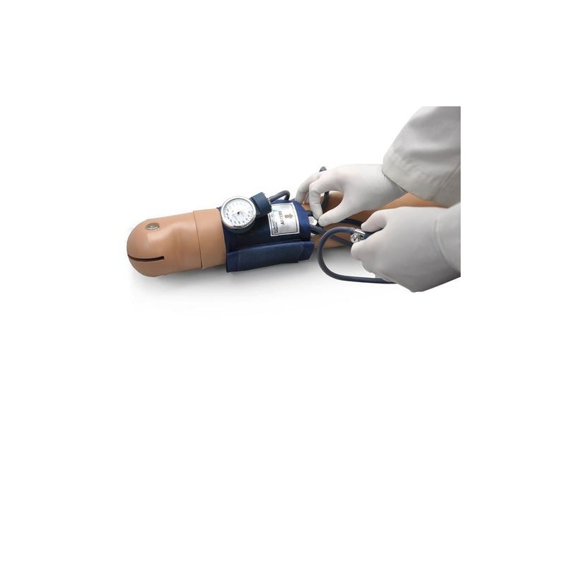 Blood Pressure Training Arm with Sp | Medi-Shop.gr