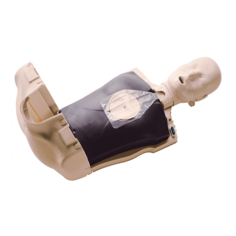 Prestan adult training model PP-AM-100M | Medi-Shop.gr